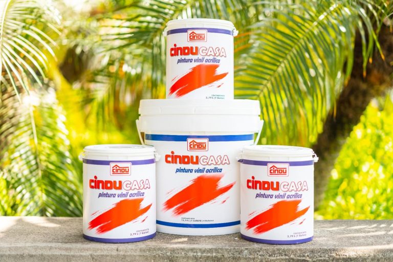 CINDU – CINDU Venezuela tiene la misión de brindar a sus clientes ...