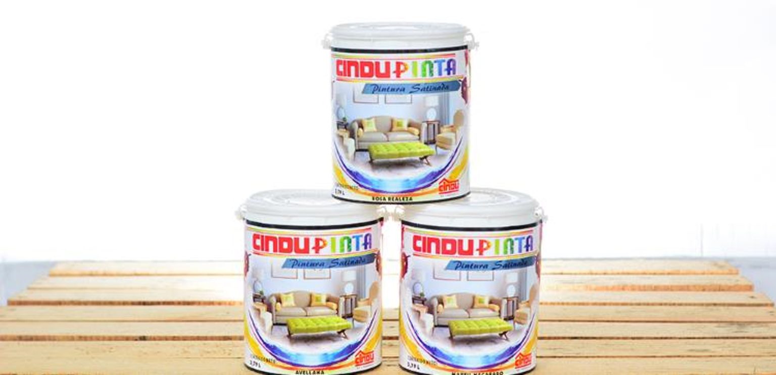 CINDU – CINDU Venezuela tiene la misión de brindar a sus clientes ...